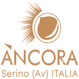 Ancora - Crunchbase Company Profile & Funding
