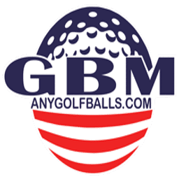 GBM - Crunchbase Company Profile & Funding