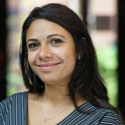 Sarah Hashem - Vice President, Partnerships & Development @ CivicAction - Crunchbase Person Profile