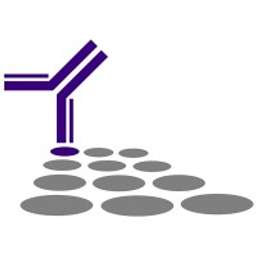 SouthernBiotech - Crunchbase Company Profile & Funding