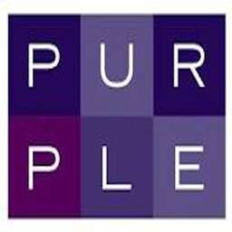 Purple Strategies - Crunchbase Company Profile & Funding