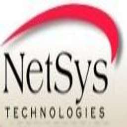 NetSys Technologies - Crunchbase Company Profile & Funding
