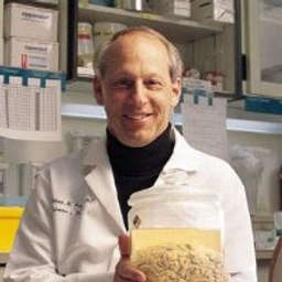 William Frey II - Research Director, Center for Memory and Aging ...