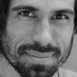 Christian Reis - Director @ Magazine Luiza - Crunchbase Person Profile