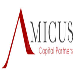 Amicus Capital Partners - Crunchbase Investor Profile & Investments