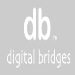 Digital Bridges - Crunchbase Company Profile & Funding