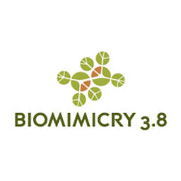 Biomimicry 3.8 - Crunchbase Company Profile & Funding