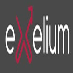 Exelium - Crunchbase Company Profile & Funding