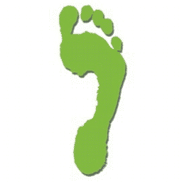 Step Forward Paper - Crunchbase Company Profile & Funding