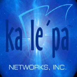 Kalepa Networks - Crunchbase Company Profile & Funding