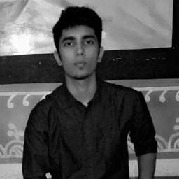 Ashwin Ramesh - Backend Engineer @ Dgraph Labs - Crunchbase Person Profile