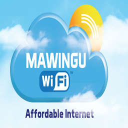 Mawingu Networks - Crunchbase Company Profile & Funding