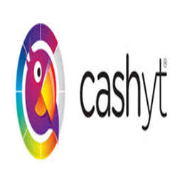 Cashyt - Crunchbase Company Profile & Funding
