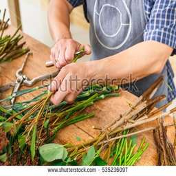 Glenn M Terrones - Crunchbase Person Profile