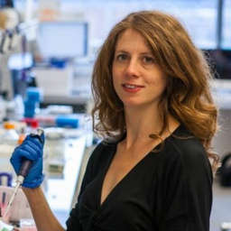 Ingrid Pultz - Crunchbase Person Profile