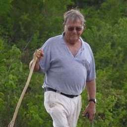 Rene Haller - Managing Director @ Haller - Crunchbase Person Profile