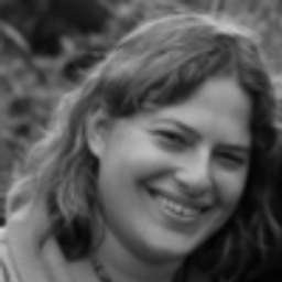 Ariel Schwartz - Crunchbase Person Profile