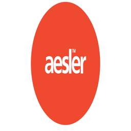 PT Aesler Grup Internasional - Crunchbase Company Profile & Funding