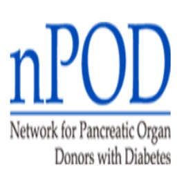 nPOD - Crunchbase Company Profile & Funding