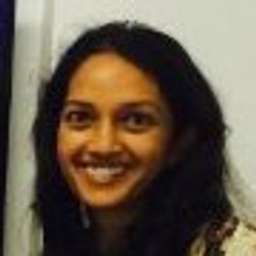 Vidya Sundaram - Crunchbase Person Profile