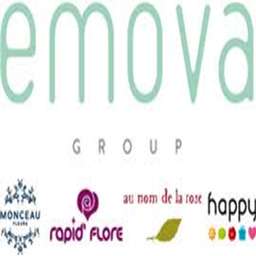 Emova Group - Crunchbase Company Profile & Funding