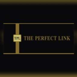 The Perfect Link