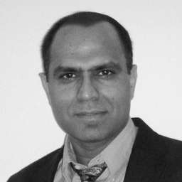 Raj Arora - CEO @ CADDSOFT - Crunchbase Person Profile