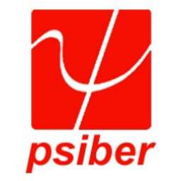 Psiber Data Systems - Crunchbase Company Profile & Funding