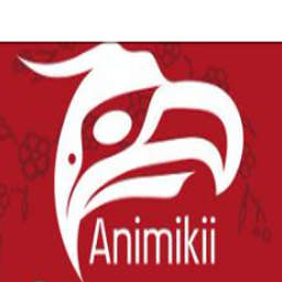 Animikii Indigenous Technology - Crunchbase Company Profile & Funding