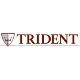 Trident Process Systems - Crunchbase Company Profile & Funding