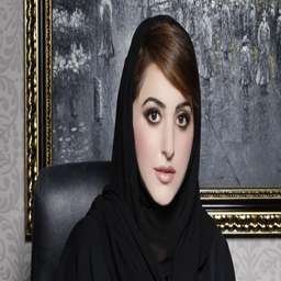 Ilham Abbas - Founder, President, and CEO @ El Ilhaam - Crunchbase ...