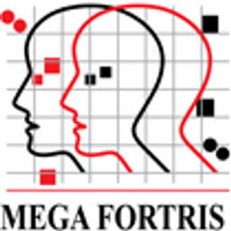 Mega Fortris Americas - Crunchbase Company Profile & Funding