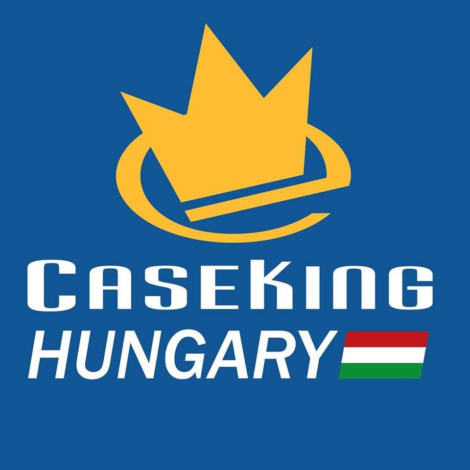 Caseking Logo