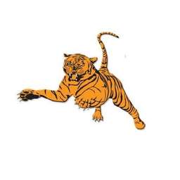 Tiger Door - Crunchbase Company Profile & Funding