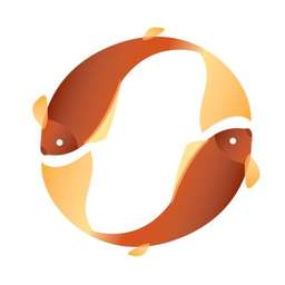 KOI Education - Crunchbase Company Profile & Funding