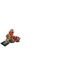 TARA Systems