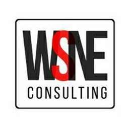 WSNE Consulting - News & Analysis
