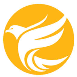 Yellow Falcon Media - Crunchbase Company Profile & Funding