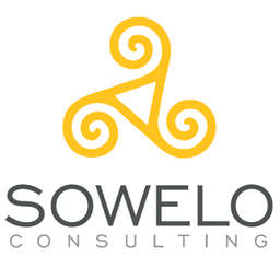 Sowelo Consulting - News & Analysis