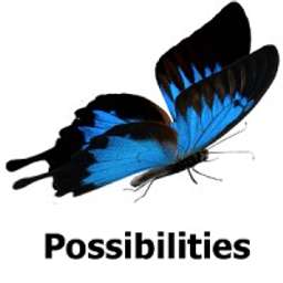 Possibilities Consulting - Crunchbase Company Profile & Funding