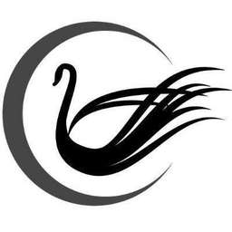 Swan Medical - Crunchbase Company Profile & Funding