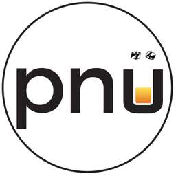 pnümix