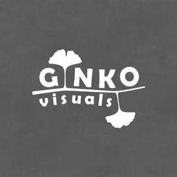 Ginko Visuals - Crunchbase Company Profile & Funding