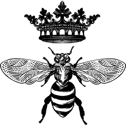 Brilliant Elevation - Tech Details