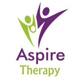 Aspire Therapy & Development Services - Tech Details