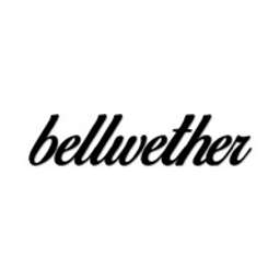Bellwether - Crunchbase Company Profile & Funding