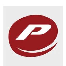 Paragon Sports Consulting - Tech Details