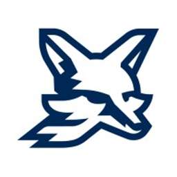 Fox Innovation & Technologies - Crunchbase Company Profile & Funding