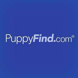 PuppyFind - Crunchbase Company Profile & Funding