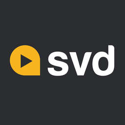 SVD Studio - Crunchbase Company Profile & Funding